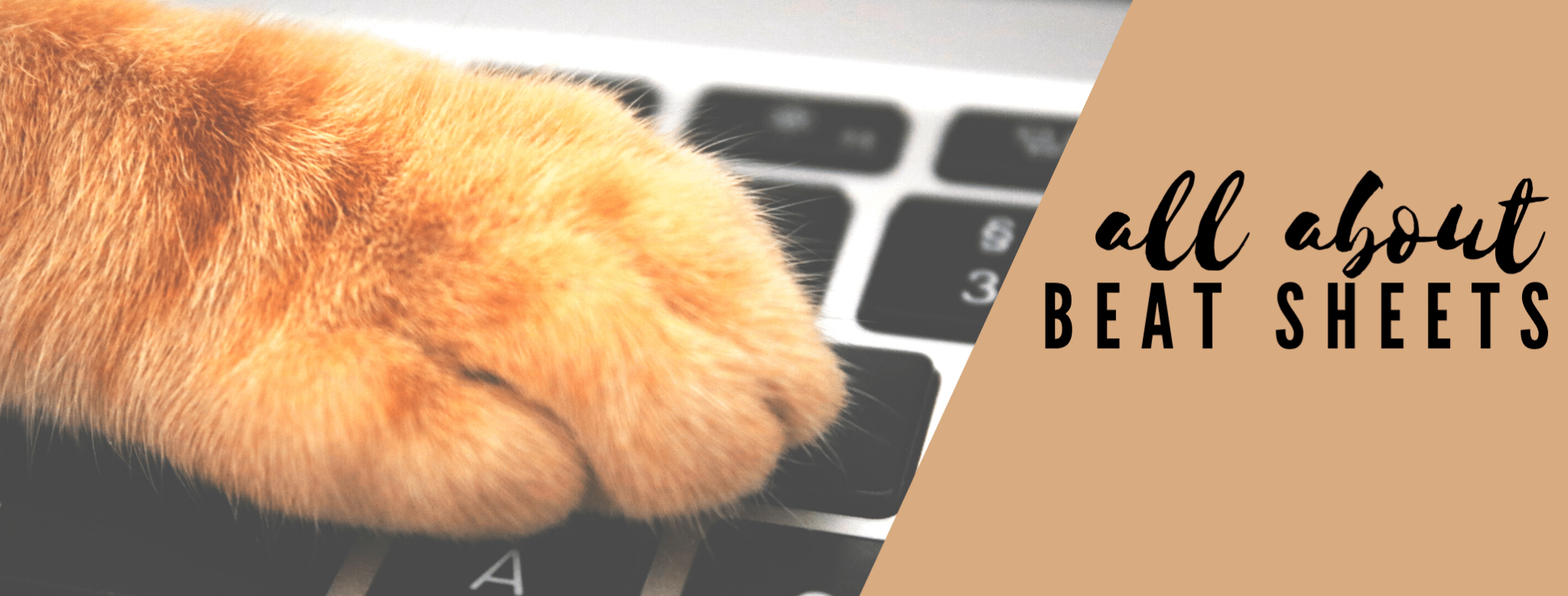 Beat Sheets, Everything You Need to Know – Betsy the Gremlin